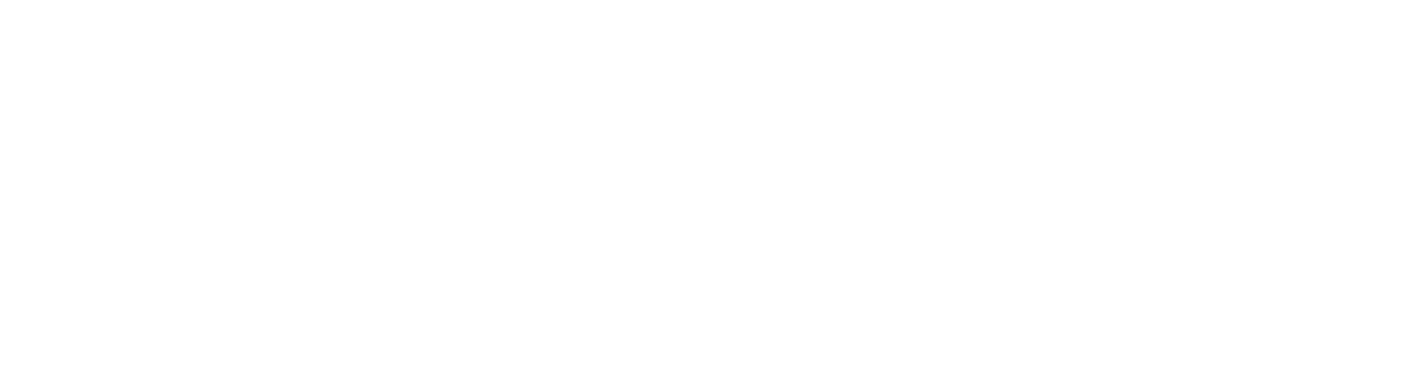 Homepage - DATALIS™